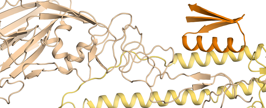 BioCentury - Artificial mini proteins