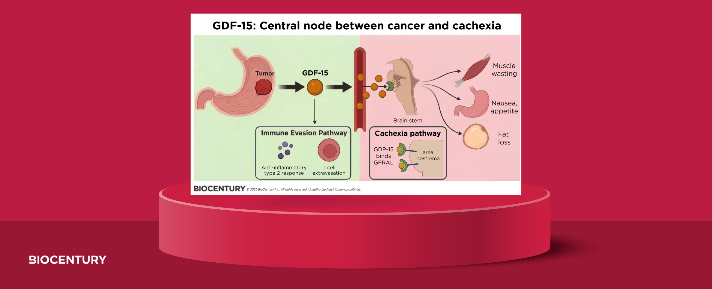 BioCentury - GDF15 emerges as cachexia’s lead target, with Pfizer and ...
